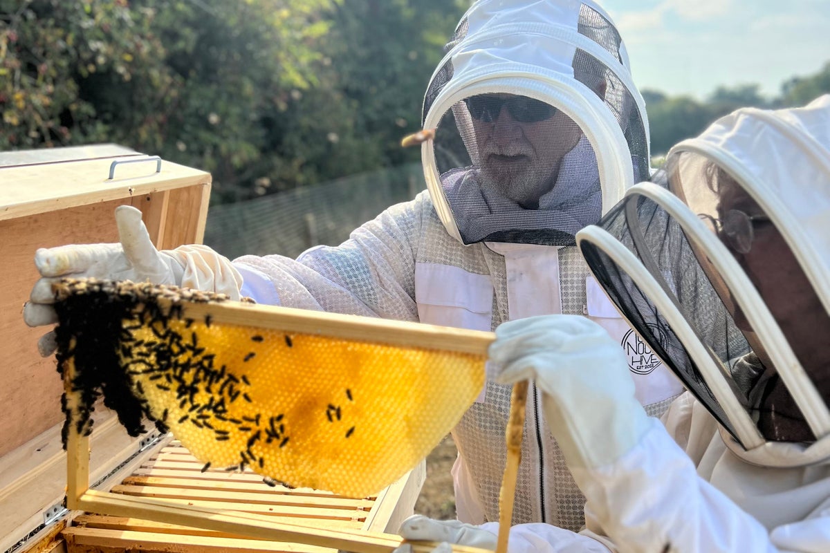 How to become a beekeeper