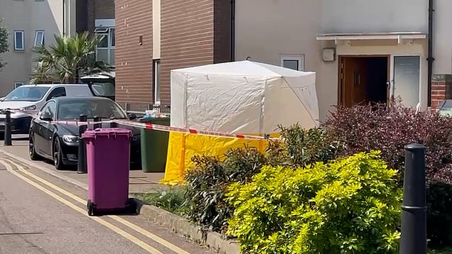 'Scenes of carnage' after man, 20, was stabbed to death in flat