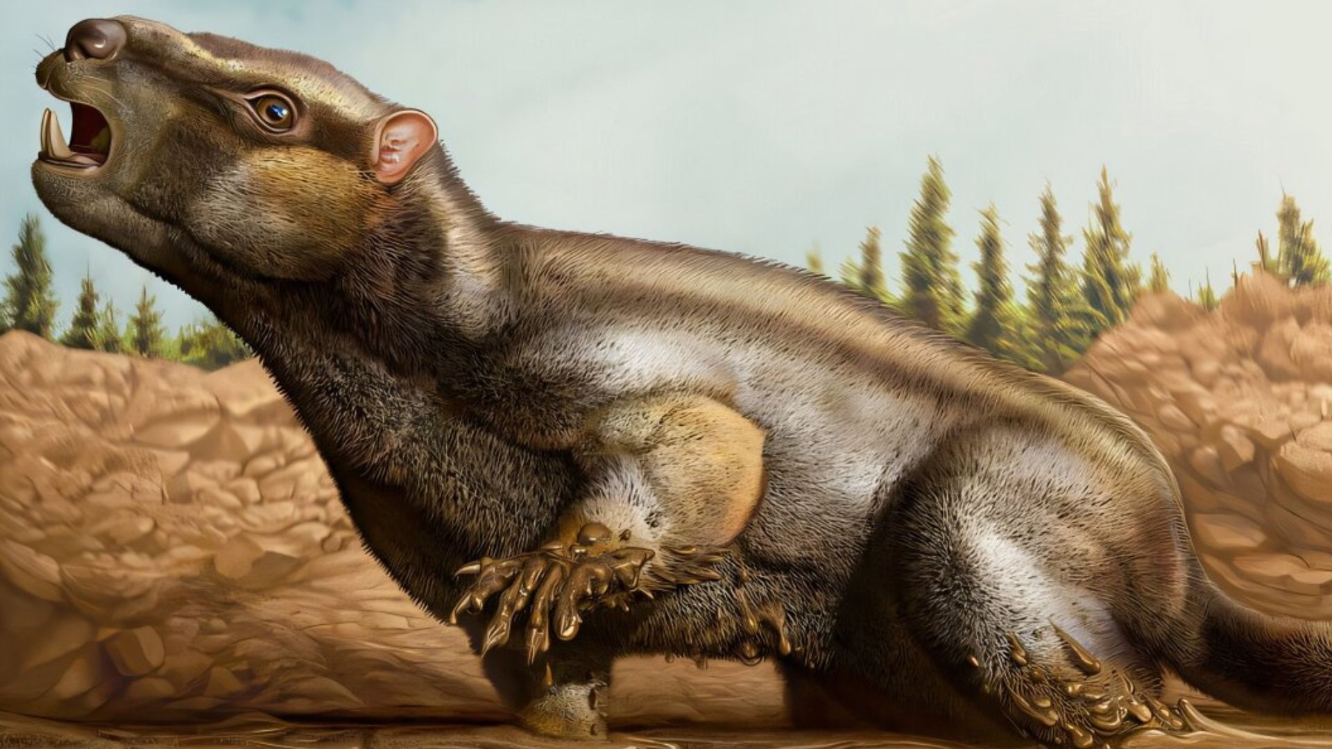 Jurassic-era jawbone reveals new rodent-like mammal species with rare ...