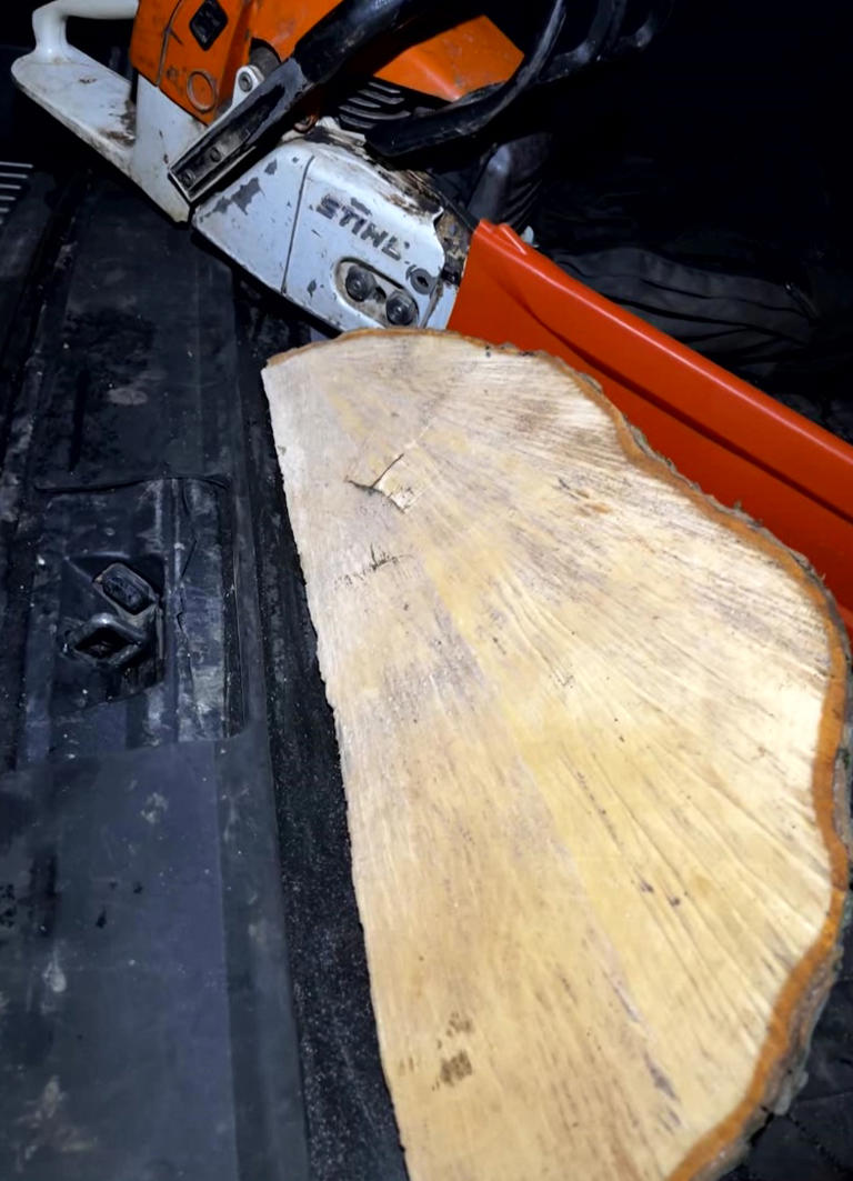 Sycamore Gap accused says friend wanted to cut down ‘most famous tree ...
