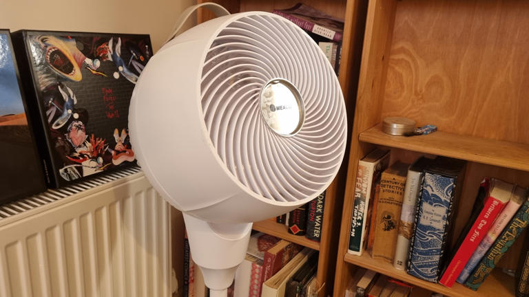 Air circulator vs fan: what's the difference, and which one should you buy?