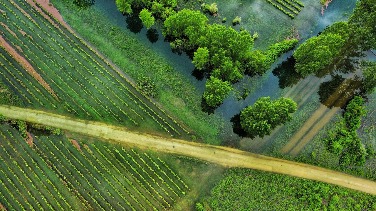 How will 13 million farmers fight back against sea level rise?