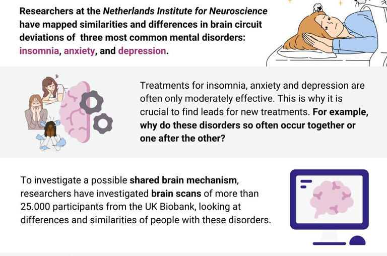 New research maps similarities and differences between insomnia ...