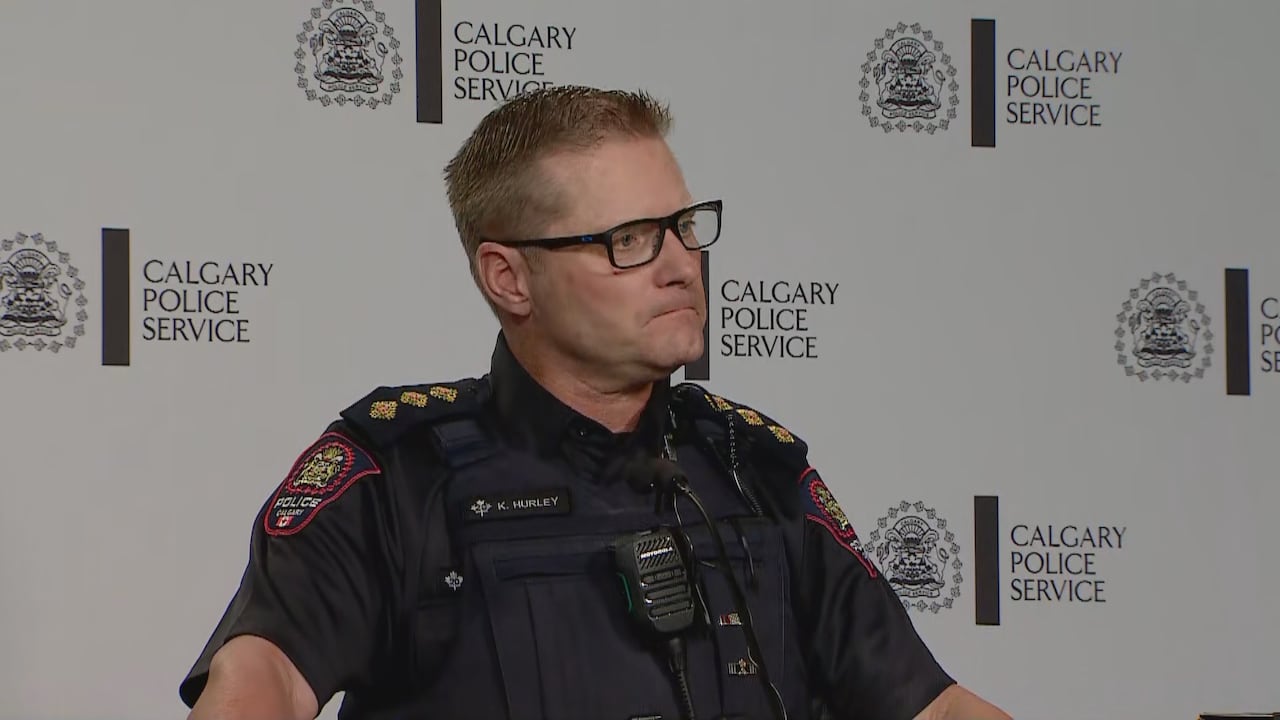 Expert says Calgary vigilante case example of public acting as judge ...