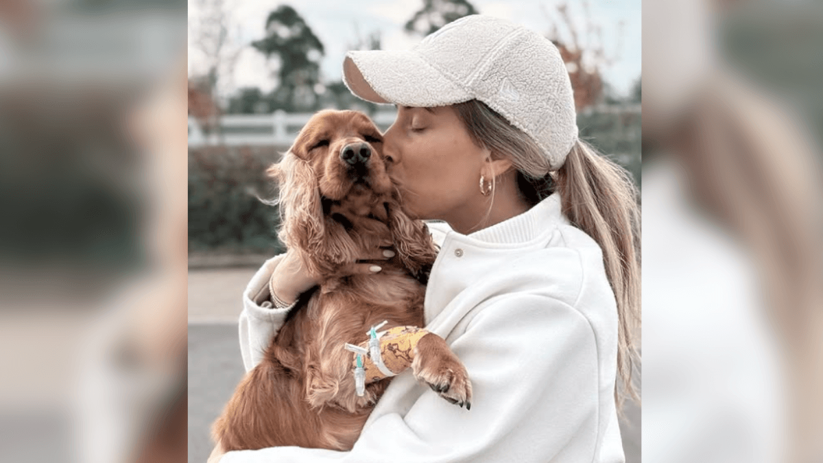 Stacey Solomon shares heartbreaking update, after dog undergoes ...