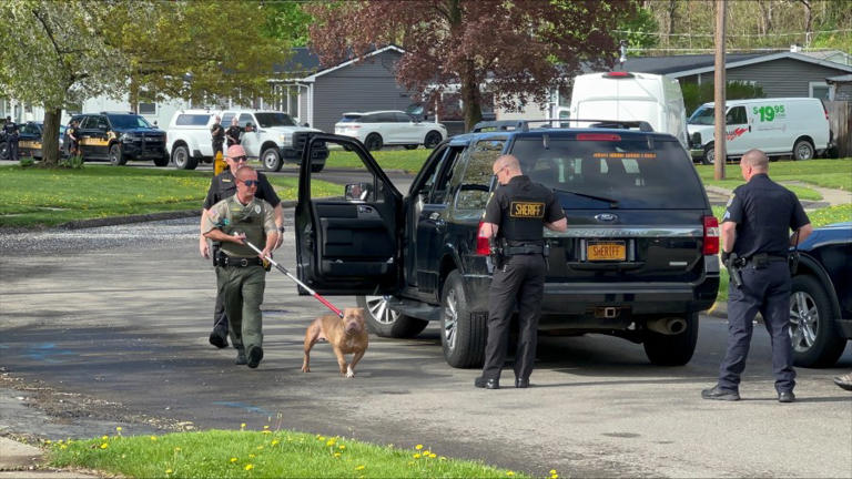 Multiple people detained after police standoff in Horseheads