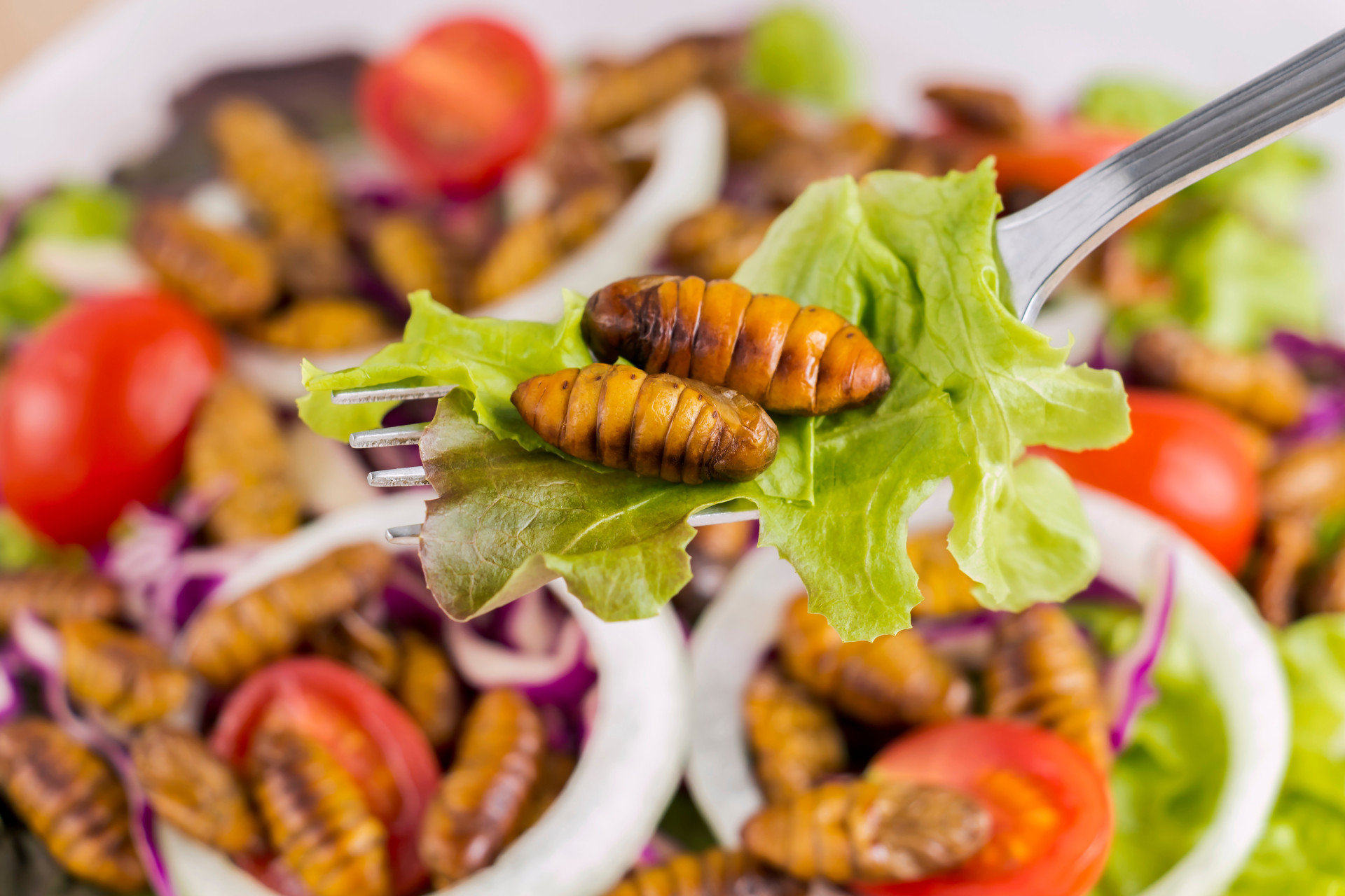 É por esta razão (incrível) que você deveria comer mais insetos!