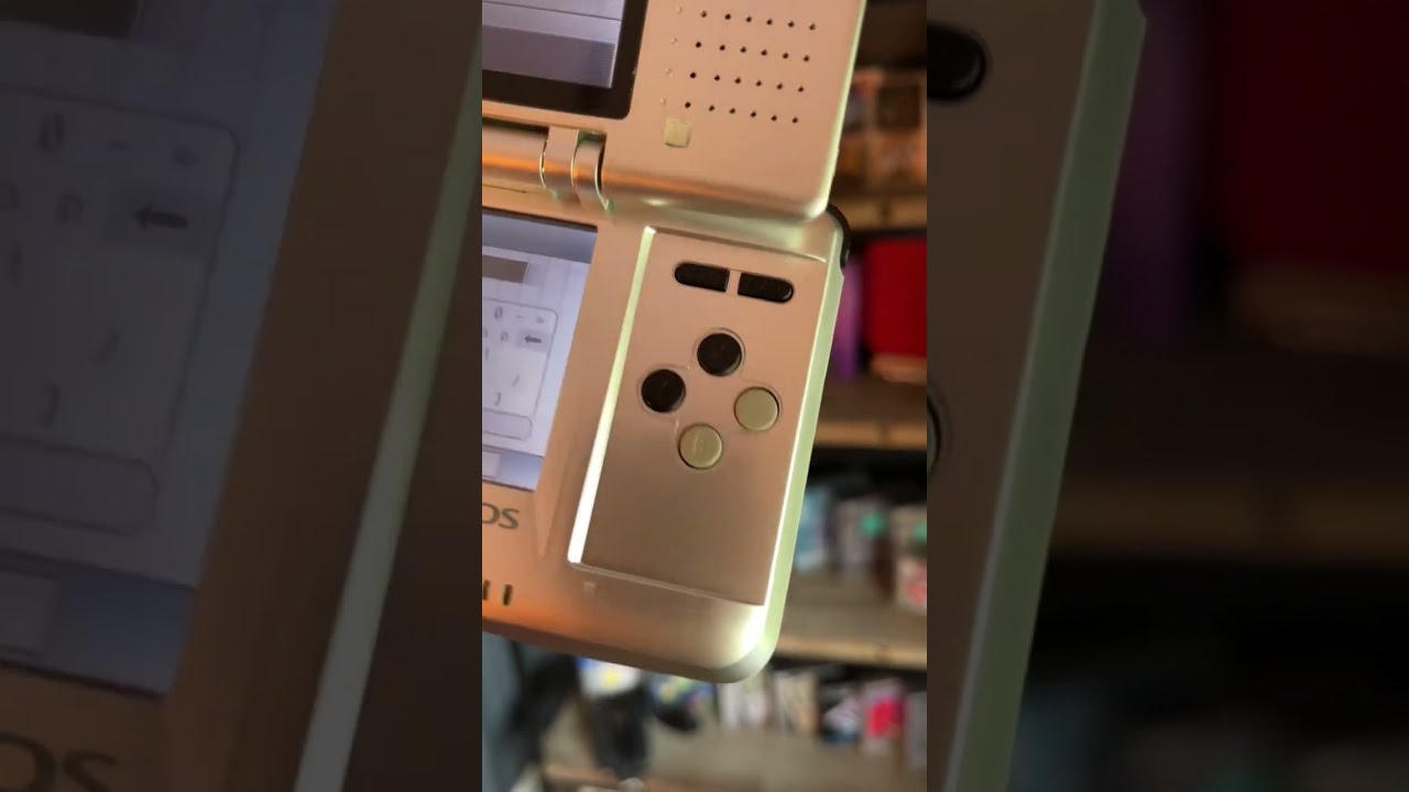 Fake Nintendo DS from China! 🤩