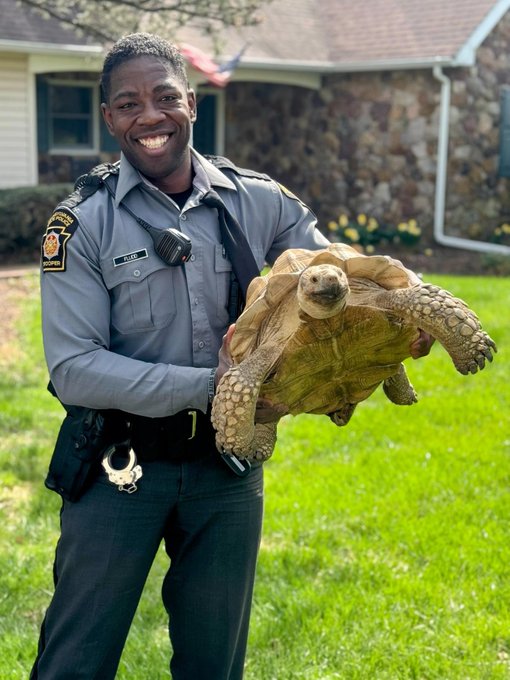 Pennsylvania police trooper finds tortoise crossing Montgomery County road