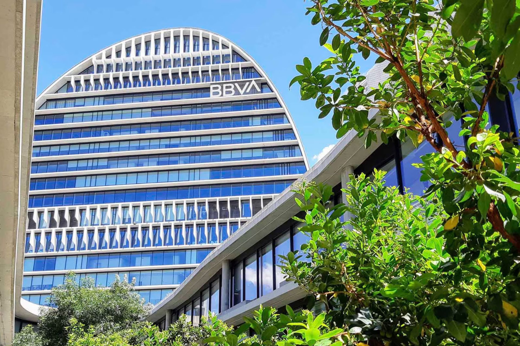 El BBVA se revaloriza un 20% en Bolsa tras abandonar la opa hostil al ...