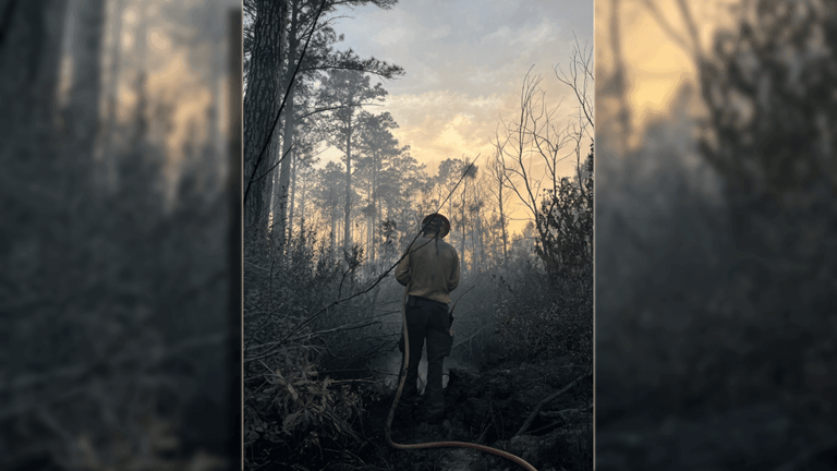 Black Swamp Fire remains 950 acres and 60% contained, crews work to ...