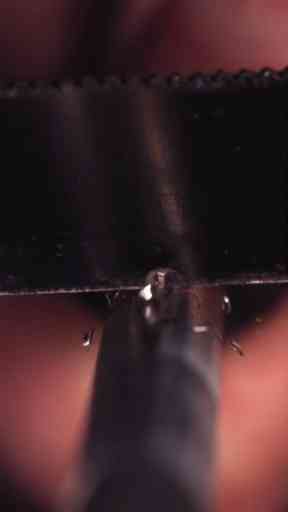 Macro Slow Motion Visuals