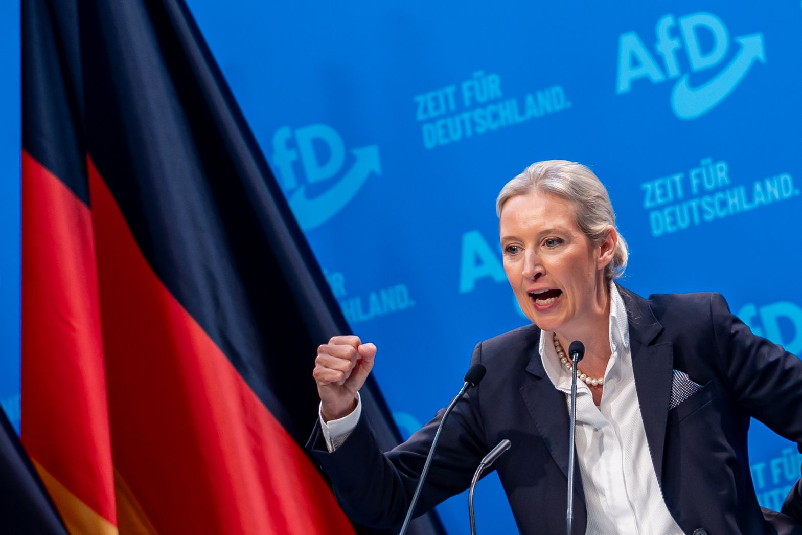 Germany designates rising far-right AfD party as ‘extremist’ group