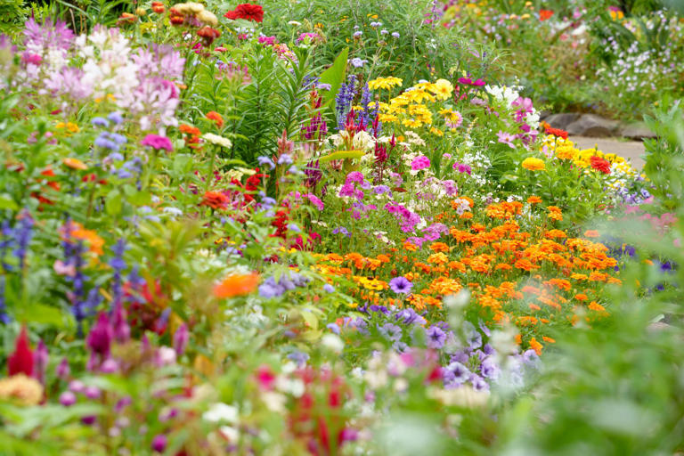 These 10 old-school flowers will make you miss your grandma’s garden