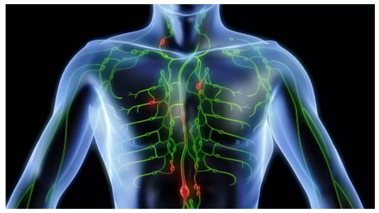 Do you know that a clogged lymphatic system can make you overweight and ...