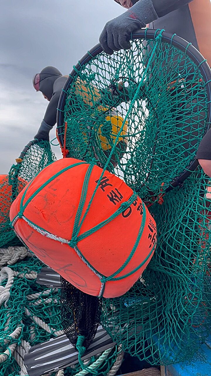 Genetic analysis of all-women extreme divers finds changes linked to ...