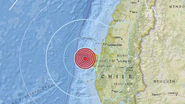 George building collapse: Emergency officials testify at Western Cape ...