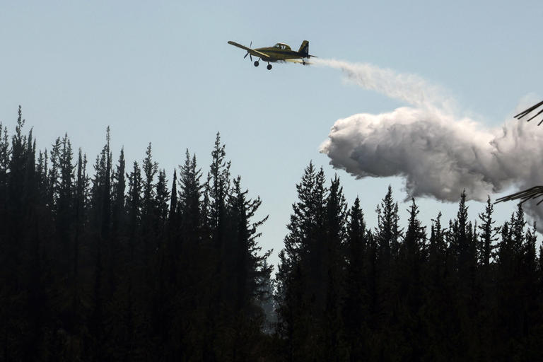 Israel wildfires latest: Firefighters winning 30-hour battle as ...