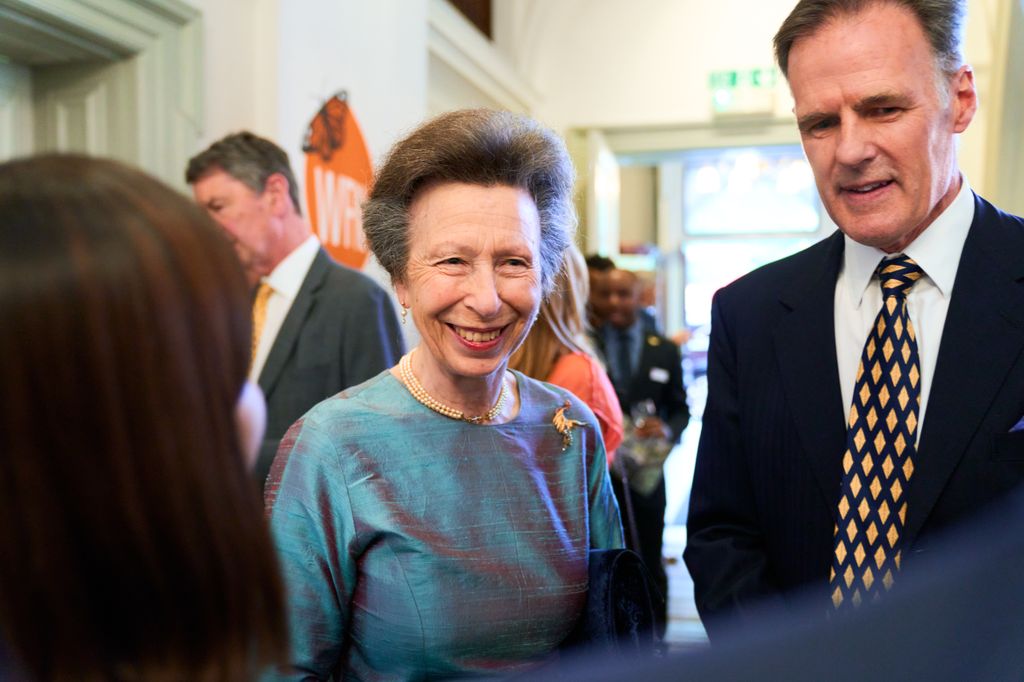 Princess Anne is a shimmering mermaid in 'glamorous' metallic dress