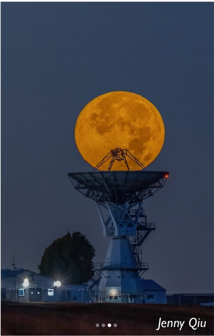 Dublin's 'Nature In Our Backyard' Photo Contest Winners Announced