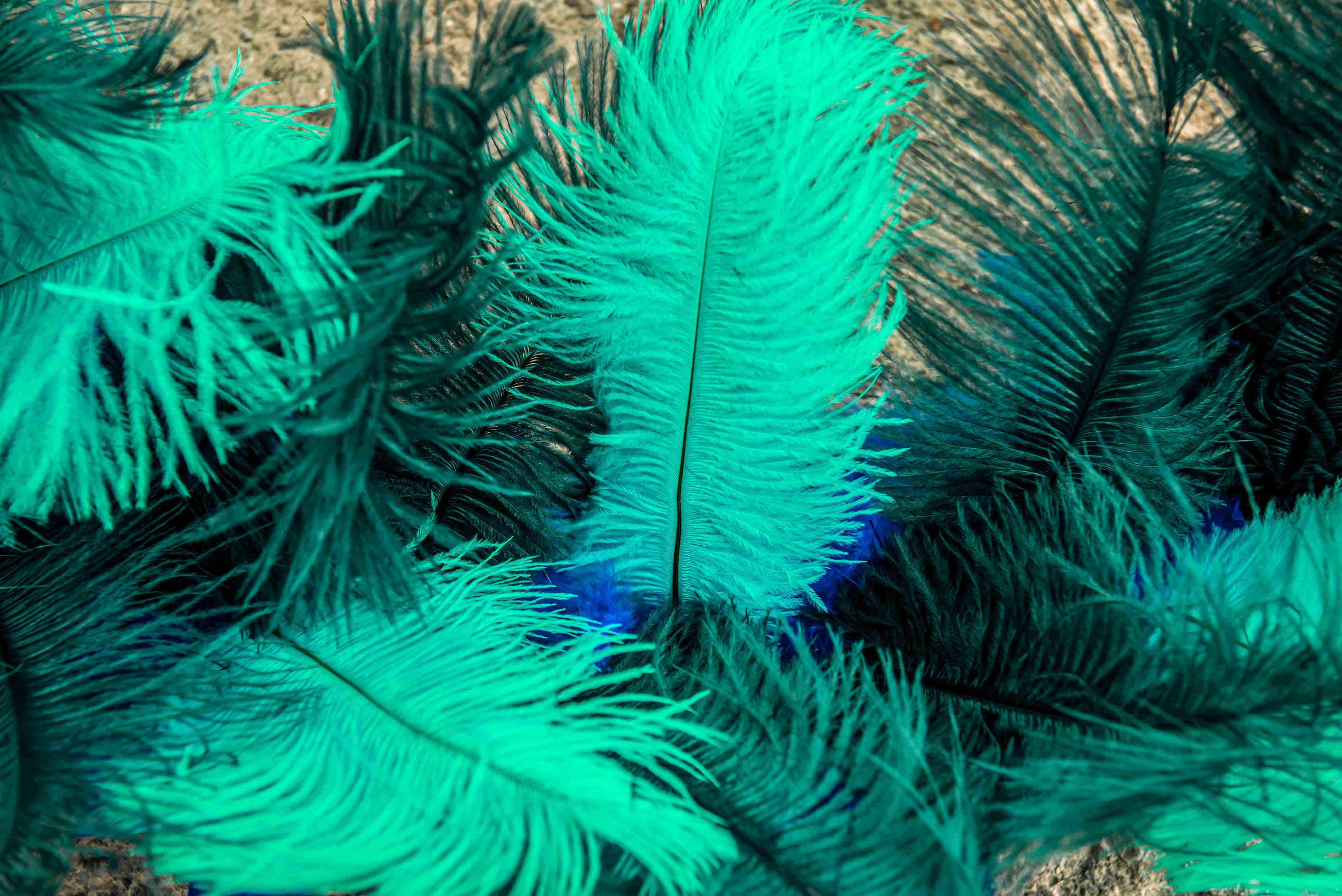 Scientists Discovered a New Color Named 'Olo'—but Few People Have ...