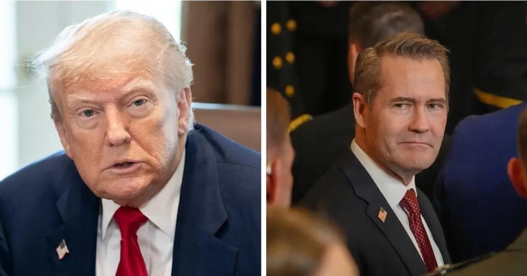 Donald Trump's 'Widescale Purge' Incoming: President to Nix More White ...