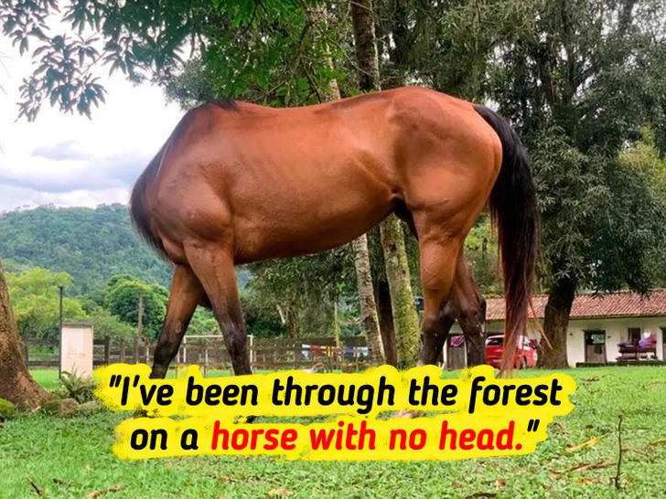 15 Optical Illusions That Seem Normal Until You Realize What’s Really ...