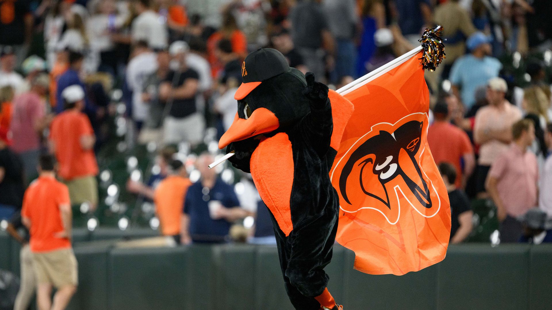 Friday Night Orioles Victory GIF Party