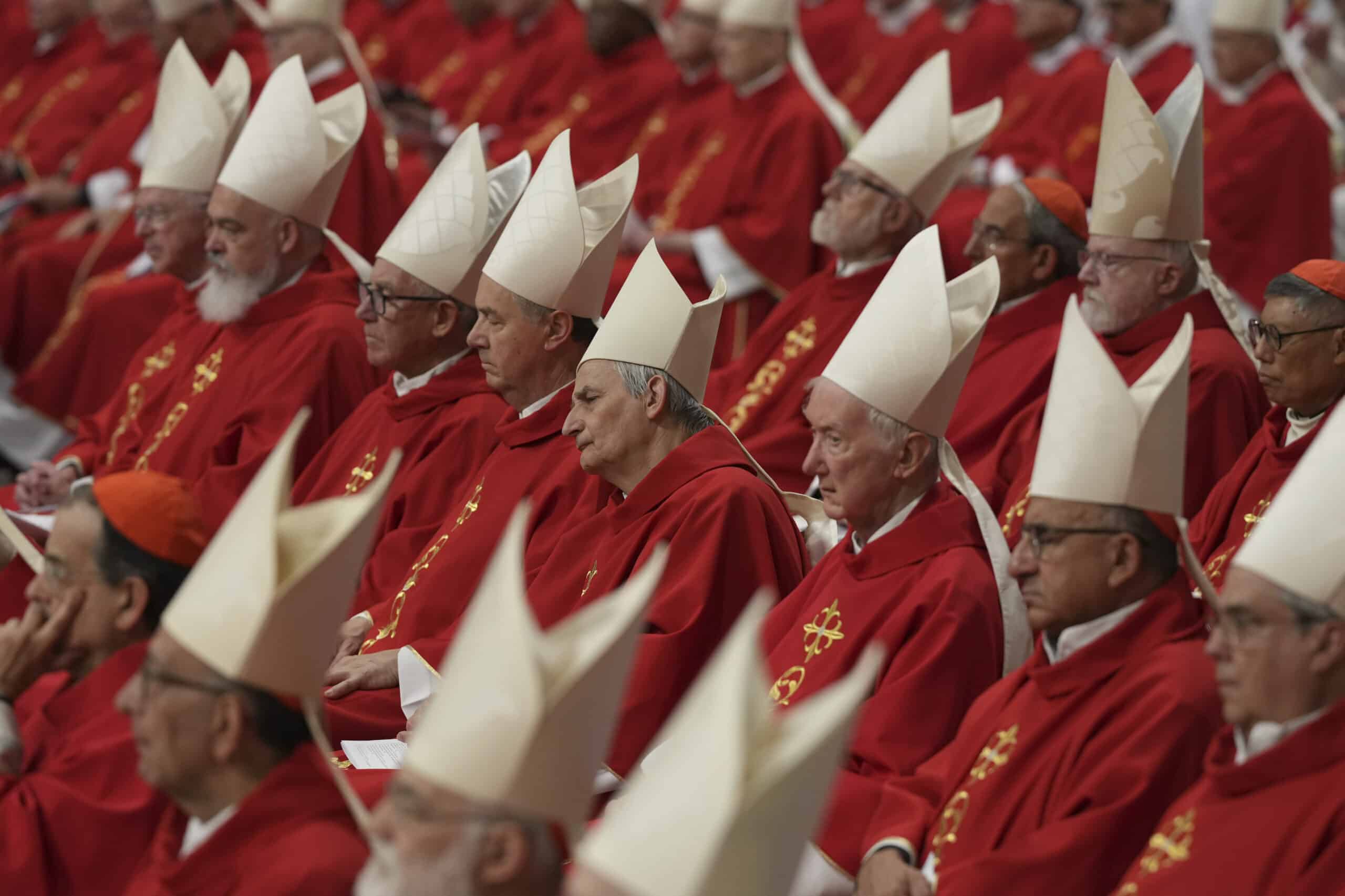 Cardinal David shares rare glimpse into the election of Pope Leo XIV