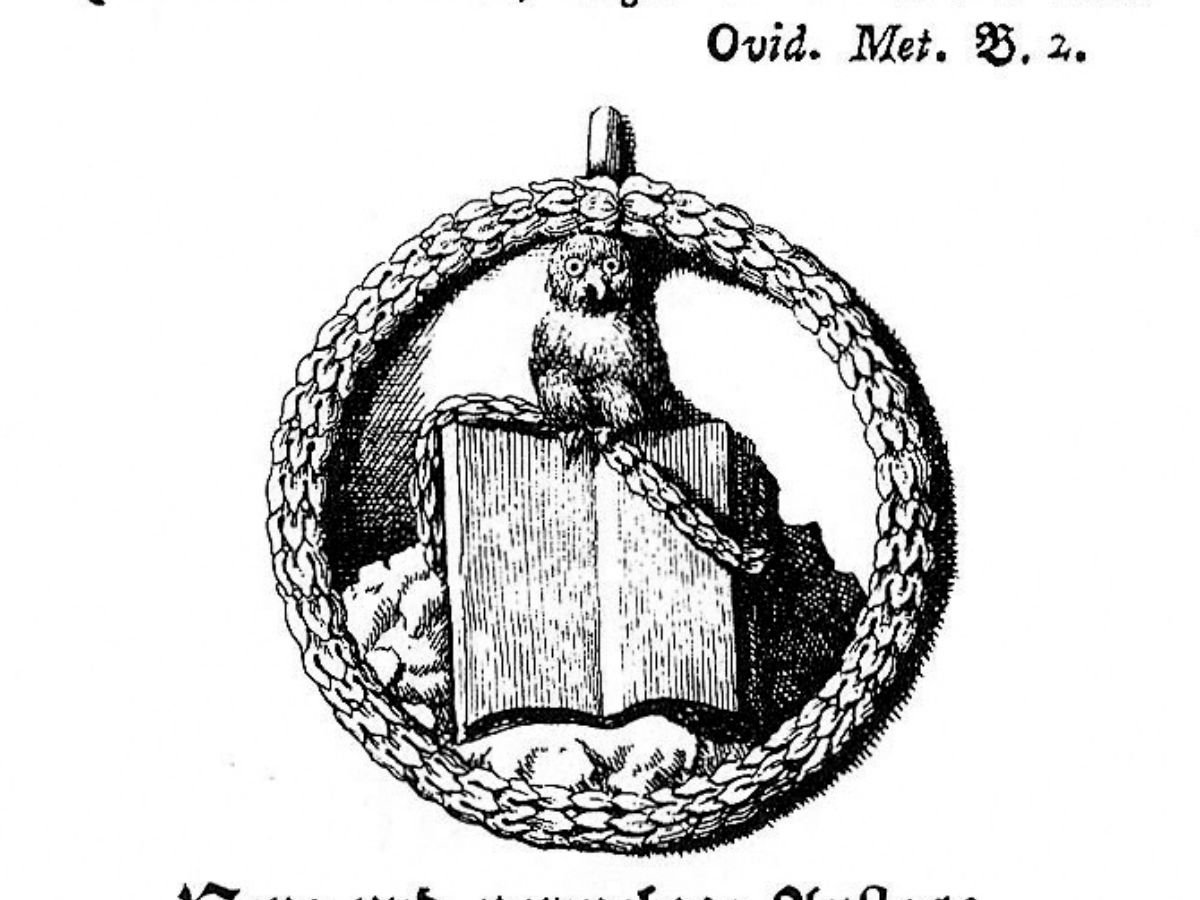 6 Secret Societies from History That Still Spark Curiosity