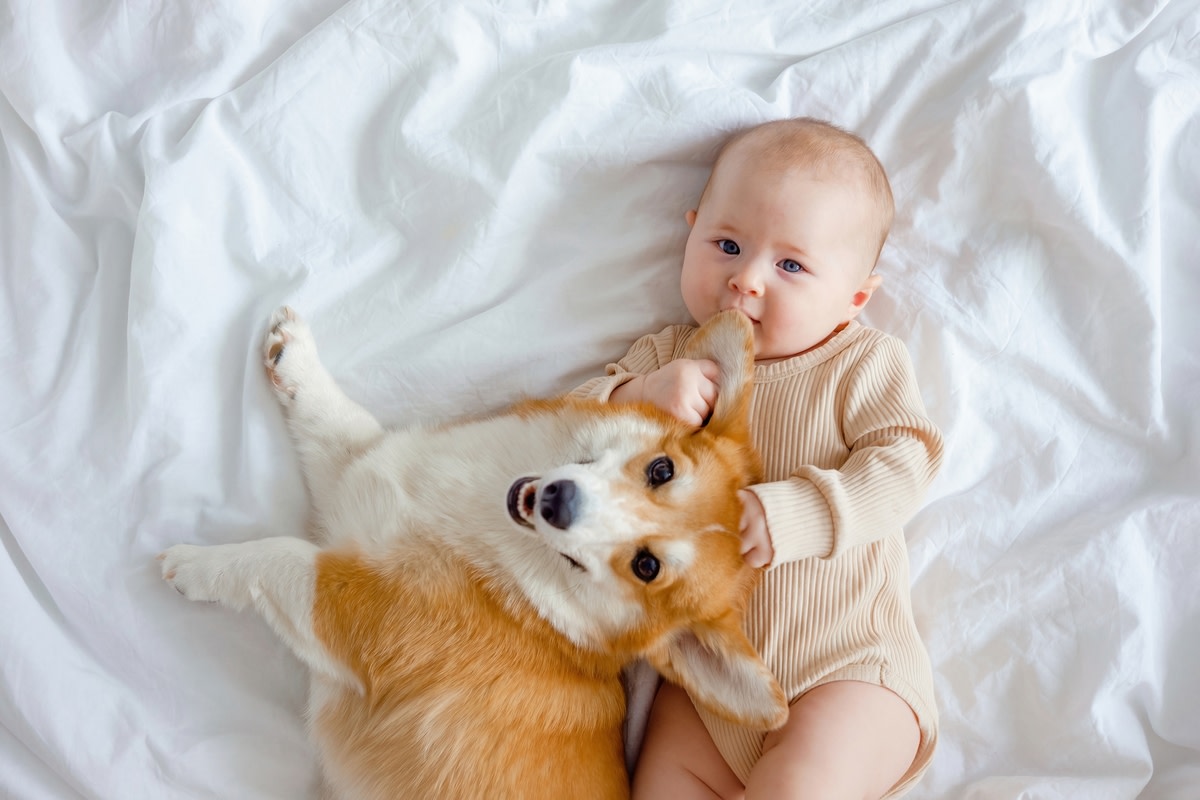 Deaf Dog 'Spends Every Second Ensuring Baby Is Safe' Like the Most ...