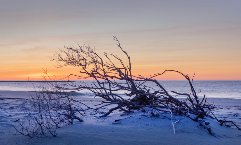 APP photographer captures beauty of Monmouth, Ocean counties in 'Just ...