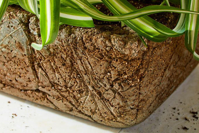 DIY Hypertufa Planters With This Step-by-Step Guide