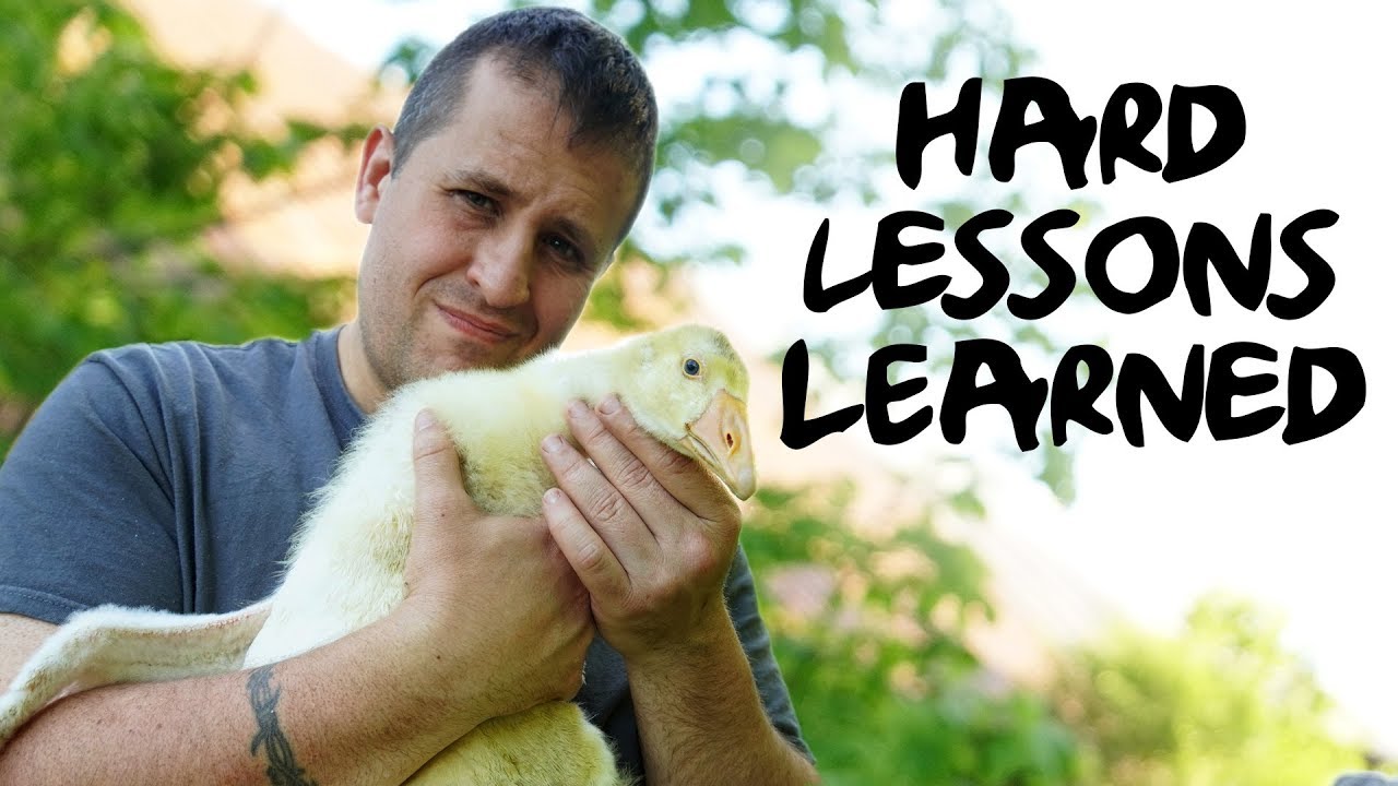 I quit my job to start a farm; results