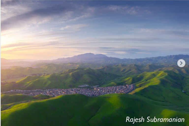 Dublin's 'Nature In Our Backyard' Photo Contest Winners Announced