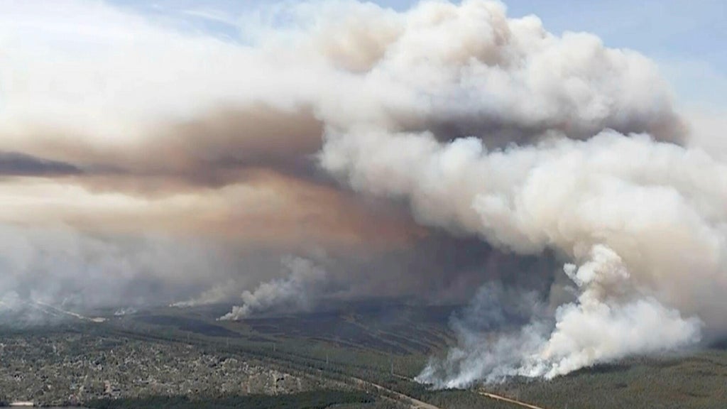 N.J. wildfire arson suspect Joseph Kling appears in court in Ocean ...