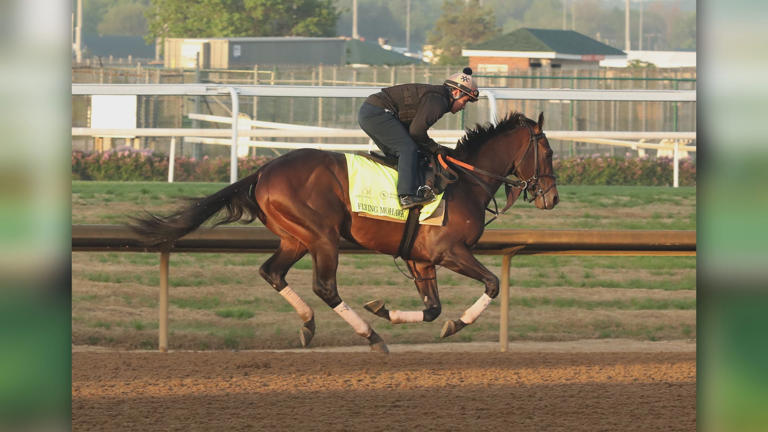 Horse with Sarasota ties and owners with MLB background takes a run for ...