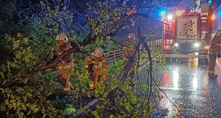 Wielka burza w Polsce. Powalone drzewa, zerwane dachy