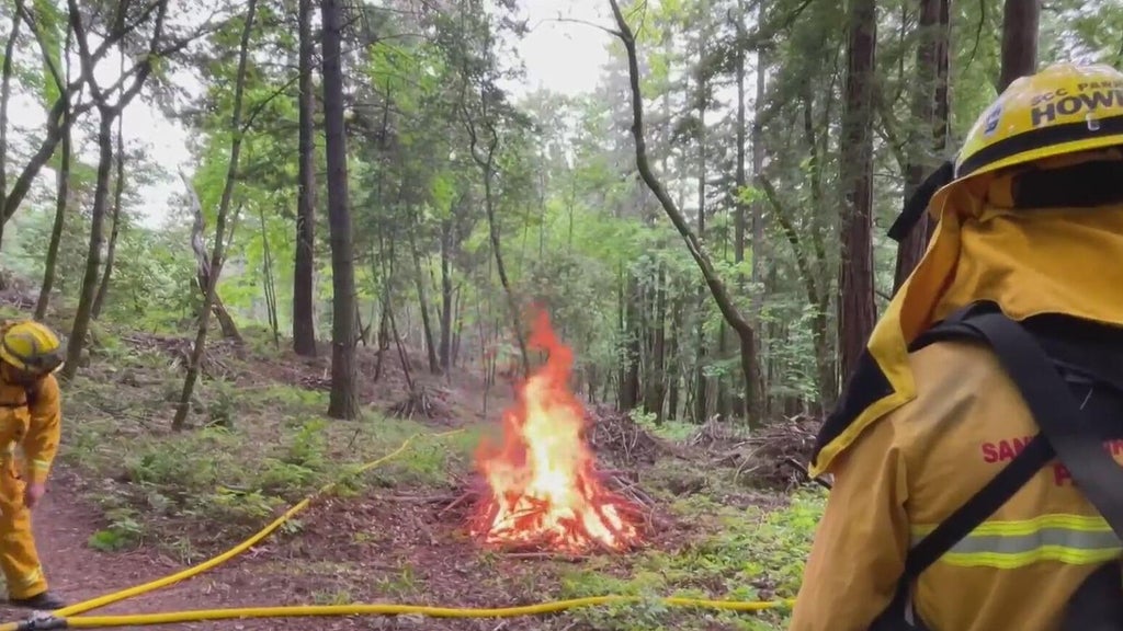 Santa Clara County park rangers gear up for wildfire season with ...