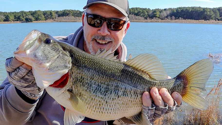 How to Catch Your First Bass: 10 Easy Tips for Beginner Fishing Success