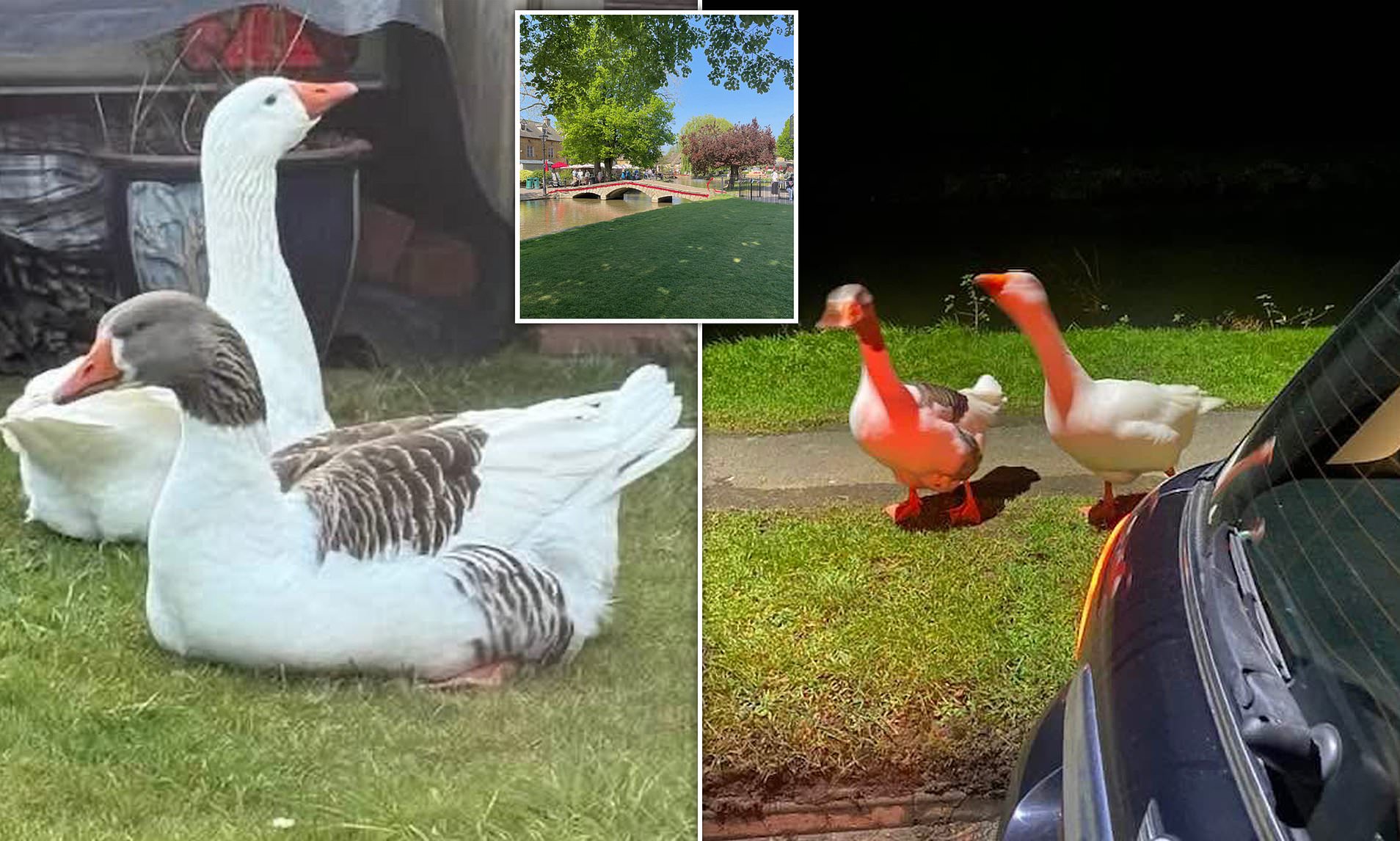 Bloody death in the Cotswolds: Village mourns as two of its best-loved ...