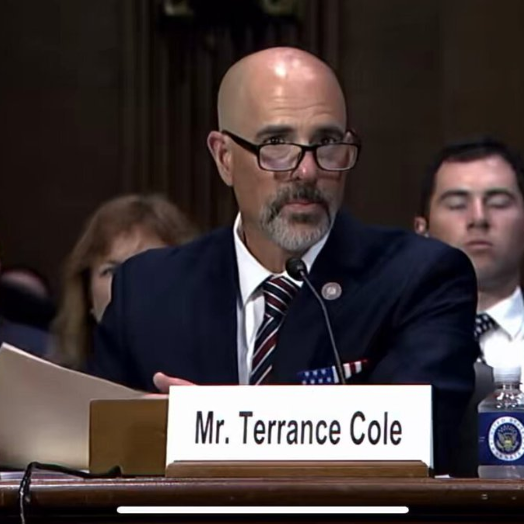 Top DEA Pick Says Cartels and Mexico’s Government Are Collaborating ...