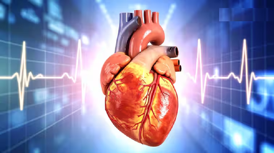 If your heart rate has increased to this much then understand that an ...