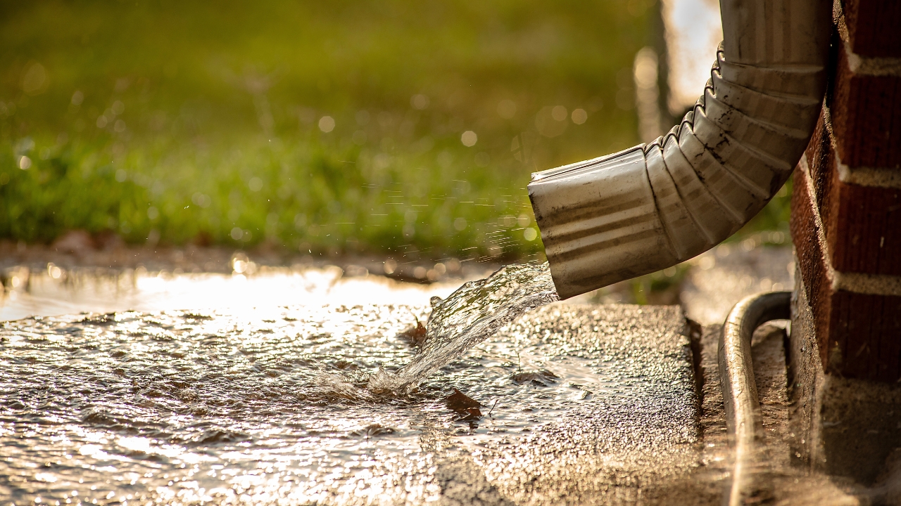 10 Things You Should Never Let Touch Your House
