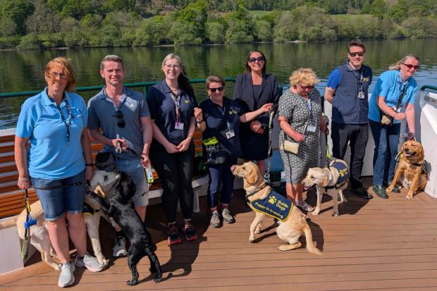 Future guide dogs take trip on Windermere as part of special training