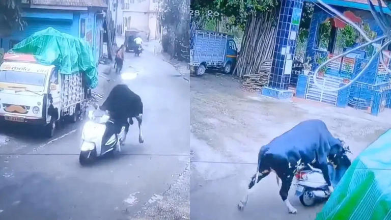 On CCTV: Bull Goes for a Scooty Ride in Rishikesh