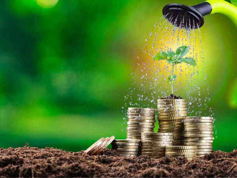 Explained: What is Yield to Maturity (YTM) in debt mutual funds