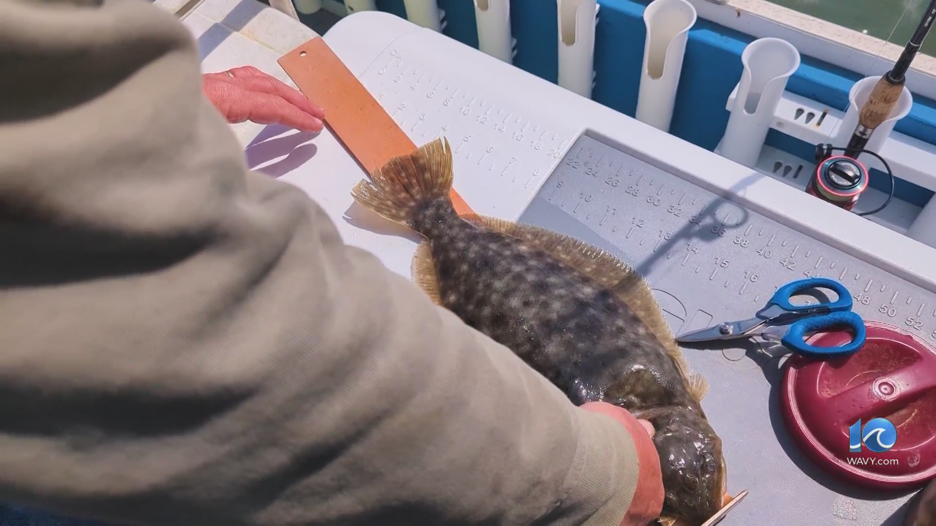 It's time to catch flounder on the Eastern Shore