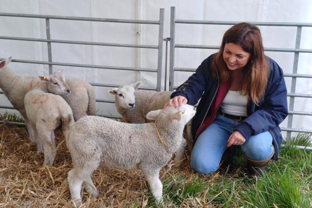 Dorset Spring Show starts today - here's what you need to know