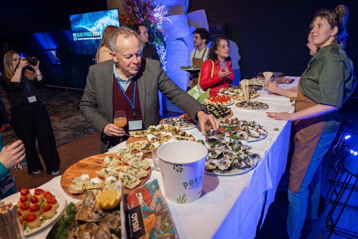 Vis is geen vlees maar beter